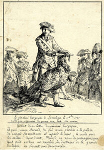 Battle of Saratoga - Proving American Revolutionary Resilience